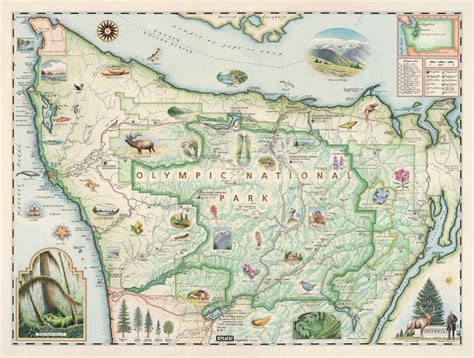 Olympic National Park Map Xplorer Maps 24x18 Olympic National