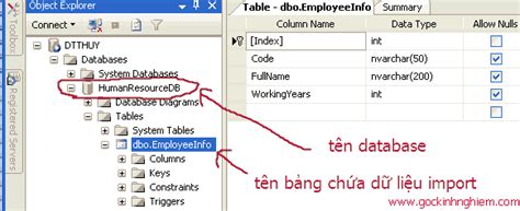 hướng dẫn import dữ liệu vào database từ tập tin excel trong c