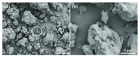 Fe Sem Micrographs Of A The Synthesized β Tcp Particles And B A