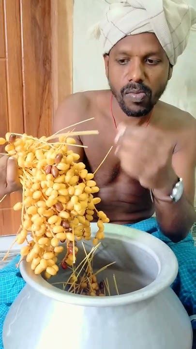 ஈச்சம் பழம் Youtube