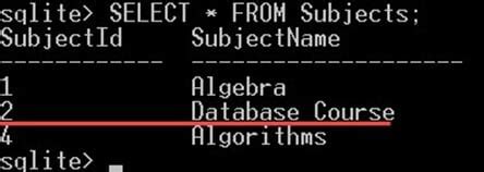 SQLite INSERT UPDATE DELETE Query With Example