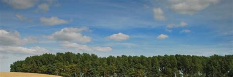 Cara Membuat Background Langit Di Sketchup 55 Koleksi Gambar