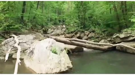 Hot College Girl Sex In Desi X Gay Big Cock Big Cock Porn Feat Take