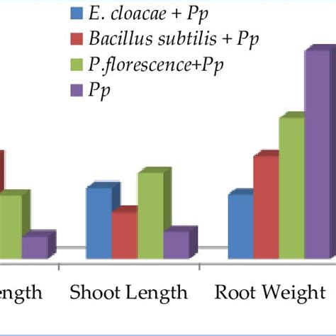 Effectiveness Of Pgpr And Pp On Age Increase In Plant Growth Variables Download Scientific