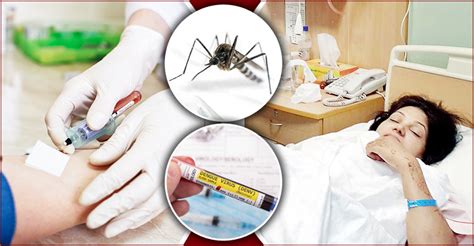 জ্বর হওয়ার কতদিনের মধ্যে কোন টেস্ট করলে ডেঙ্গু ধরা পড়ে