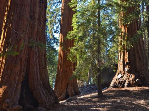 Alameda Residents National Park Trip Photos Of The Day Alameda Ca