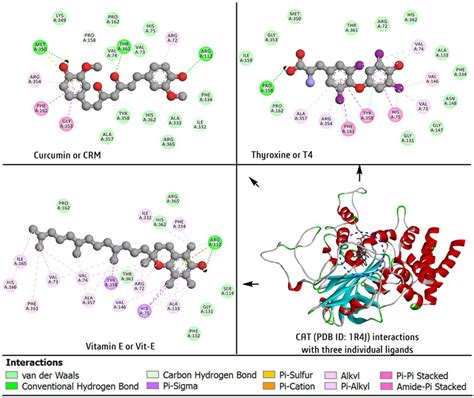 Molecular Interaction Of Ligand 1 2 And 3 Against Catalase During