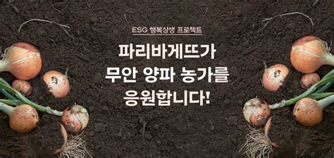 무안 양파 파리바게뜨