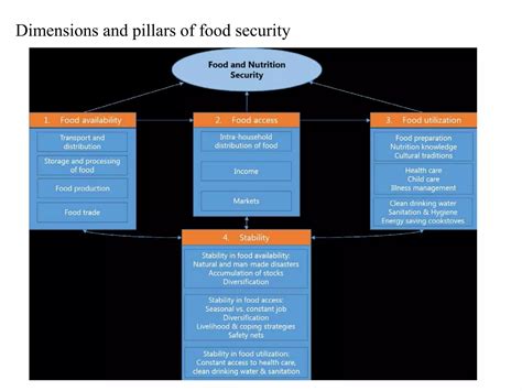 Food And Nutrition Security Dimensions Indicators And Framework Pptx