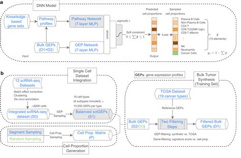 Pnas 定量解构肿瘤微环境：deside助力多种肿瘤内细胞丰度的精准预测 深圳合成生物学创新研究院