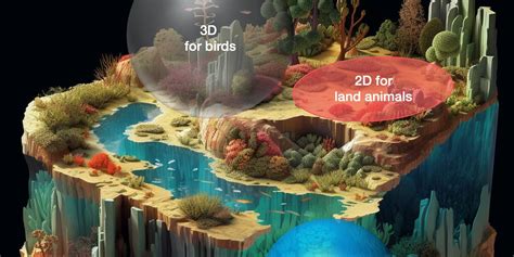 The Hidden Patterns Of Sexual Evolution By Tomas Pueyo
