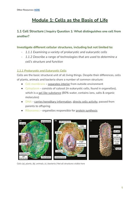 Biology Notes Module 1 Biology Year 11 Hsc Thinkswap