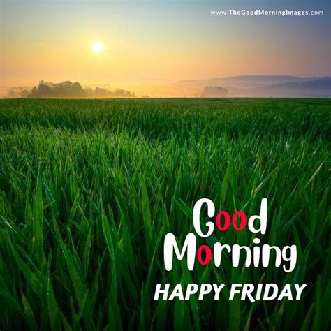 51 Happy Good Morning Friday Images 2024