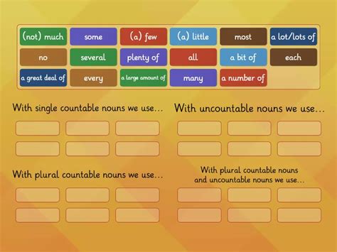 Determiners And Expressions Of Quantity Group Sort