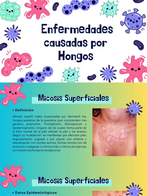 Micosis Superficiales Y Subcutáneas Pdf Sistema Inmune