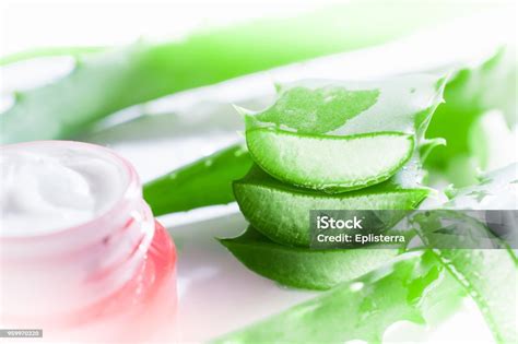 알로에 베라 젤 암 염 미네랄 피부 크림 백색 배경에 유기농 스킨 케어 고 민감한 피부를 위한 천연 화장품 알로에 베라 잎을 썬 대체 의학 스파와 스킨 케어 개념 건강관리와