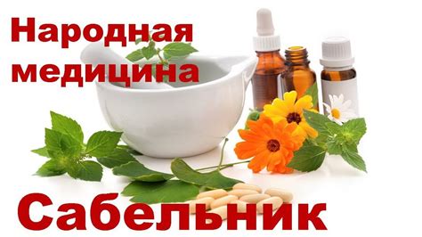 Сабельник болотный Лечение суставов рецепты народной медицины Youtube