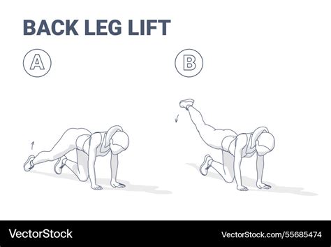V Exercise Guide Two Stage Black And White Vector Image