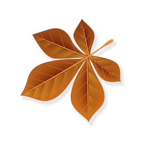 Free Psd Realistic Fall Leaf Isolated