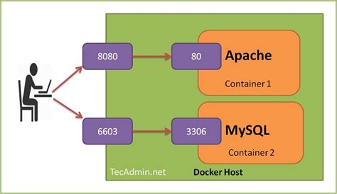 Hướng Dẫn Docker Toàn Tập Vsudo Blog