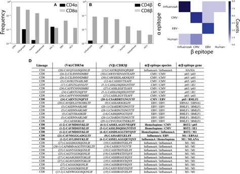 Single T Cell Sequencing Demonstrates the Functional Role of αβ TCR Pairing in Cell Lineage and