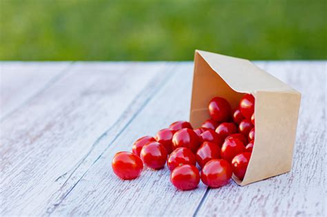 정원의 나무 테이블에 재활용 종이 상자에 유기 잘 익은 체리 토마토 요리 재료 수확 지속 가능한 생활 플라스틱 포장에 U201cnou201d라고 합니다 0명에 대한 스톡