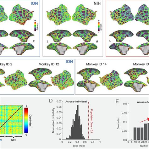 The Functional Connectivity Boundary Maps A The Population Based