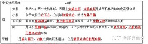 1 神经系统的基本结构： 知乎