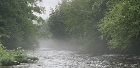 Gallery Weddings And Events Antrim Streamside Antrim Streamside