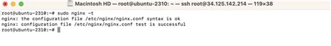 how to set up nginx server blocks on ubuntu 23 10 devtutorial