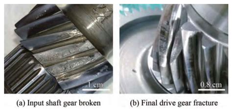 Gear Damage Types At Amy Denker Blog