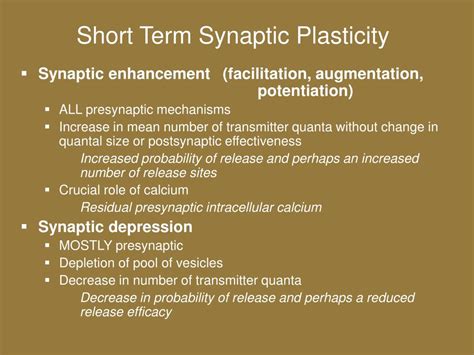 Ppt Synaptic Plasticity Powerpoint Presentation Free Download Id307059