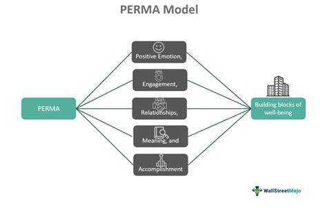 Perma Model What Is It Examples Advantages Elements