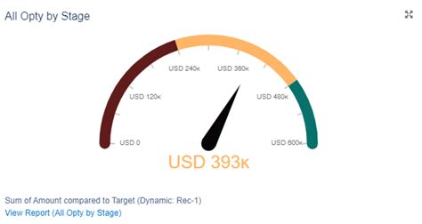 Salesforce Dashboard Dynamic Gauge Charts