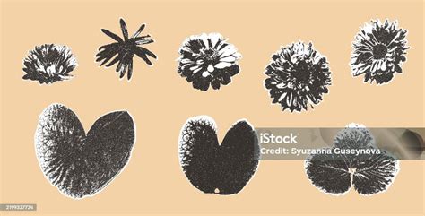 꽃과 나뭇잎 복사 콜라주 스티커 점묘 모노크롬 효과 꽃 자산 콜라주 종이 하프 톤 식물 요소 관보 컷아웃 세트 벡터 점선 스크랩북 그림 절연 Brutalism에 대한 스톡