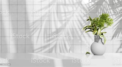 야자수 잎 그림자가 있는 햇빛이 비치는 흰색 테이블 꽃병과 화장품 제품 디자인 및 텍스트 배경을 위한 잎 식물이 있는 흰색 연단 테이블 스튜디오 촬영에 대한 스톡 사진 및