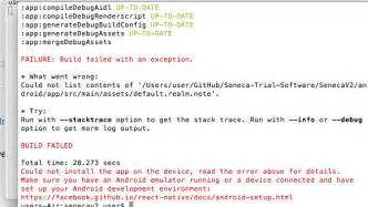 Android Emulator Bundle Pre Populated Realm With React Native App