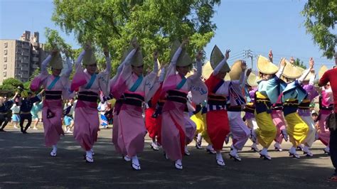 阿波踊り2016徳島興源寺 YouTube