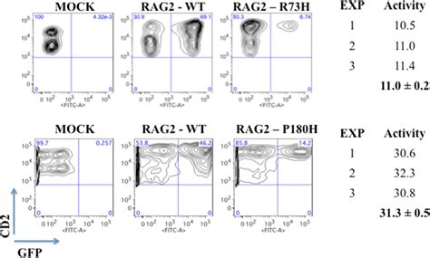 Recombination Activity Associated With The Patients Mutations Download Scientific Diagram