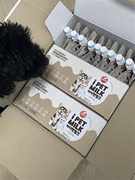 리틀몽 아동복 아동복쇼핑몰 자체제작아동복 아동복마켓 아동복추천 아동복도매 아동복코디 아동복모델 아동복패션