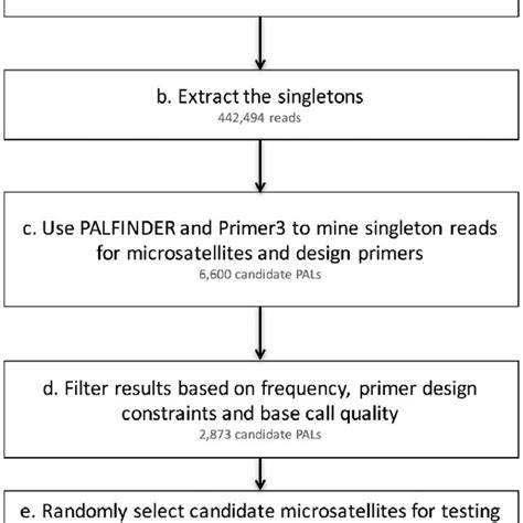 Flowchart Detailing The Bioinformatic Pipeline Used To Identify