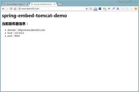 Nginx 示例教程 示例说明 Nginx 极简教程 书栈网 BookStack