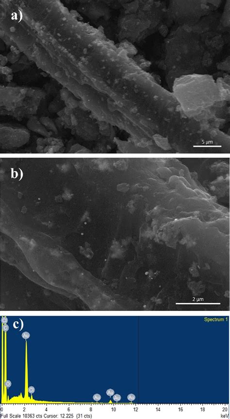Sem Images A And B And Edx Spectra C Of The Au Nanoparticles