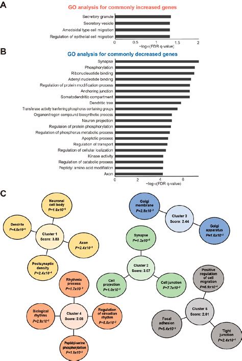 Figure 3 From Transcriptome Profile In The Mouse Brain Of Hepatic Encephalopathy And Alzheimers