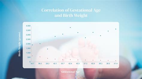 Gestational Age Scatter Plot Template Visme