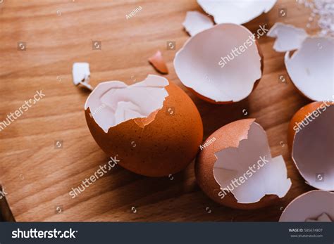 Egg shell texture 35 389 Ảnh vector và hình chụp có sẵn Shutterstock