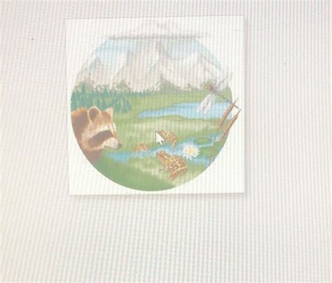 Solved Which Structure Is Found In Some Prokaryotes Nucleoid