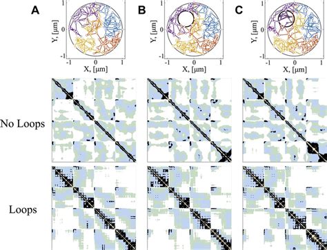 Secondary Levels Of Regulation Of Intra Chain Interactions A Download Scientific Diagram