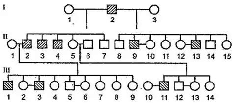 What Is Sex Limited And Sex Influenced Traits Owlgen