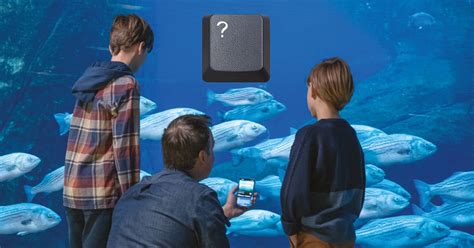 Montréal A Besoin De Ta Touche Dexpertise En Ti Isabelle Gauthier